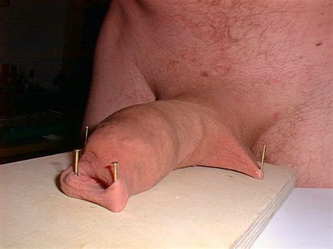 Nailing My Cock To Board 10 Pics Xhamster Nailing My Cock To Board 10 Pics Xhamster