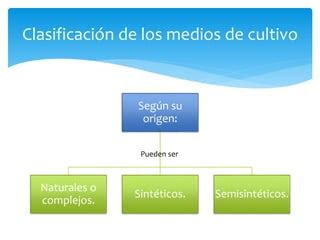 Medios De Cultivo Pptx