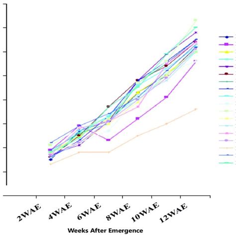 2 Combined Effect Of Seed Size Sowing Depth And Fertilizer On Height Download Scientific