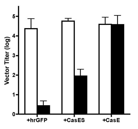 Casbre Su Mediates Virus Entry Via The Ecotropic Receptor Viral