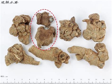 中药霉变的产生与鉴别 知乎