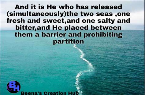 Robina Bibi On Linkedin Why They Dont Think And See