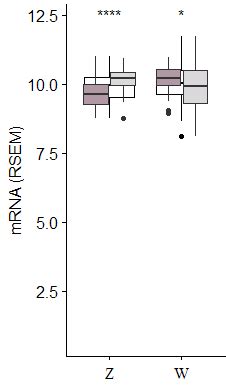 Issue When Plotting With Ggboxplot Unwanted Boxplots In The Background Issue