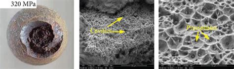 Sem Fractographs Of The Crept Specimens At 783 K 510°c Under