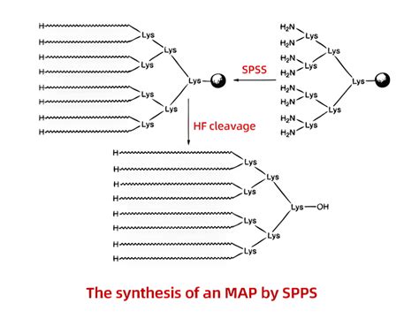 Antigenic Peptides Design Designing Antigenic Peptide Qyaobio