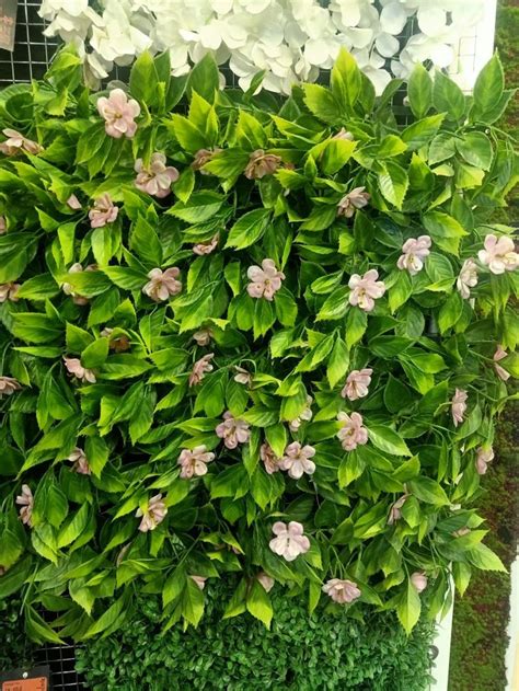 Pin By Mahinder Kumar On Vertical Grass Herbs Grass Vertical