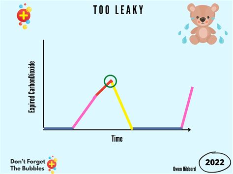 A Beginners Guide To Capnography Dont Forget The Bubbles