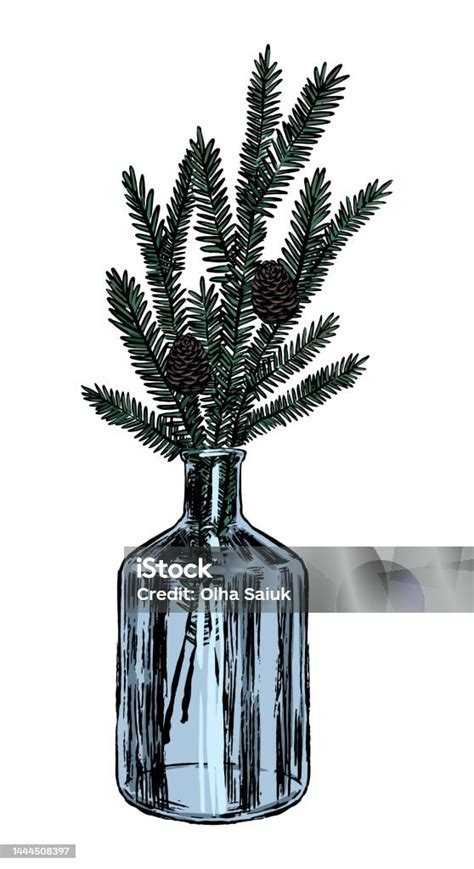 크리스마스 나뭇가지와 유리 꽃병의 스케치입니다 전나무 나뭇 가지의 꽃다발 손으로 그린 벡터 그림입니다 흰색으로 분리된 빈티지 꽃