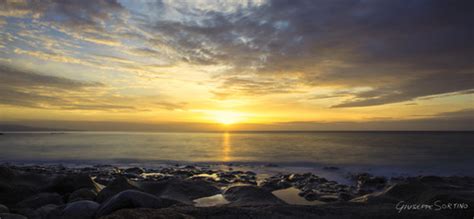 Flashcards Engl 250 Unit 6 Quizlet