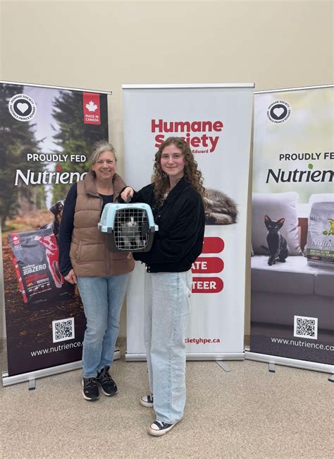 Humane 🌾 Sweetgrass Arrived As A Stray Through Animal Control In Mid