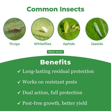 Ju Thiola Insecticide Thiamethoxam 126 Lambda Cyhalothrin 95 Zc