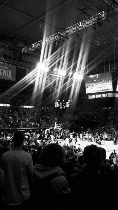 Imogen Hedges On Linkedin Basketball Nbl Jackjumpers