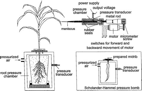 Experimental Setup For Measuring P X Using A Cell Pressure Probe