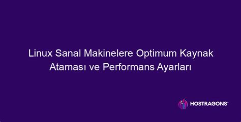 Optimal Resource Allocation And Performance Tuning For Linux Virtual Machines Hostragons®