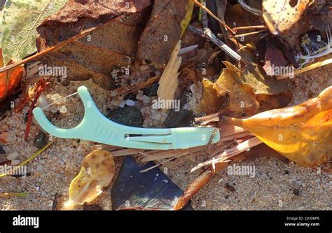 Dental Tooth Flosser Plastic Rubbish With Leaves On A Nz Beach Stock