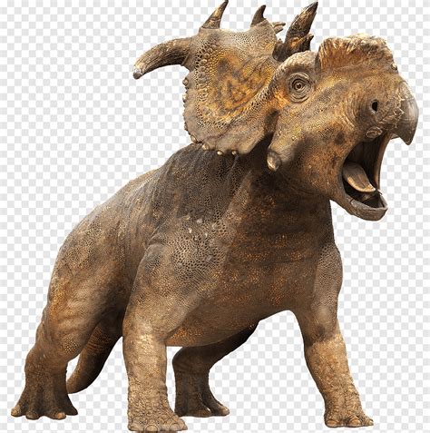 Pachyrhinosaurus