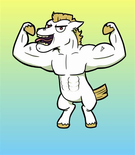 Mlp Bulk Biceps Human