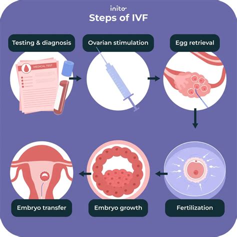 Is Isci More Effective Than Ivf Key Differences Explained