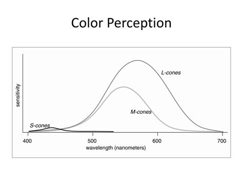 Ppt Light Color And Perception Powerpoint Presentation Free Download Id2028103
