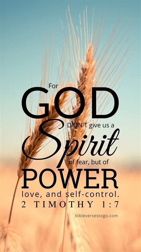 Timothy 1 7 Wallpapers Top Free Timothy 1 7 Backgrounds Wallpaperaccess