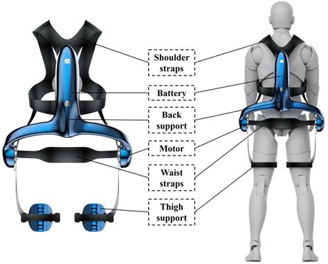 The Overall Scheme Of The Lumbar Assisted Exoskeleton Download Scientific Diagram
