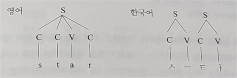 언어학 시리즈 5편 음운론phonology 오르비