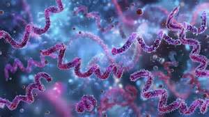 Syphilis Australia Symptoms Testing And Treatment 2024 Update World Today Journal