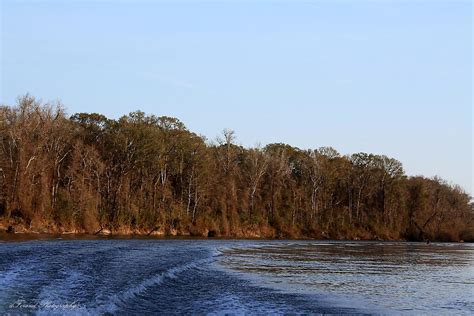 Apalachicola River Photograph By Debra Forand Fine Art America