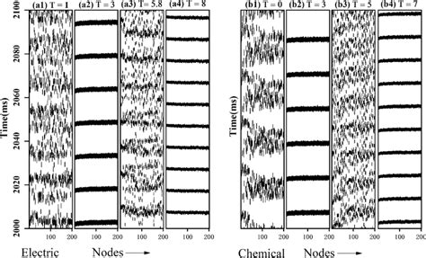 Spacetime Firing Raster Plots Of Neuronal Membrane Potentials Of The