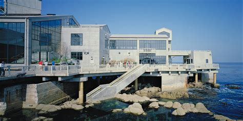 Monterey Bay Aquarium Phases I Ii And Iii