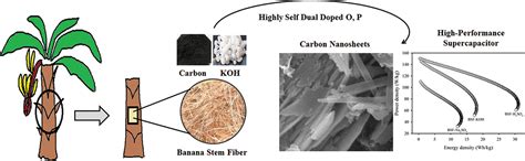 Synthesis Of Highly Self Dual Doped O P Carbon Nanosheets Derived From Banana Stem Fiber For