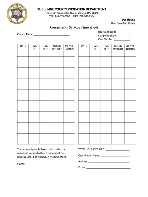 Juvenile Community Service Time Sheet Form Fill Out And Sign