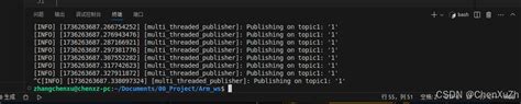如何在 ros 2 中使用多线程执行器（multi threaded executor）和回调组（callback groups