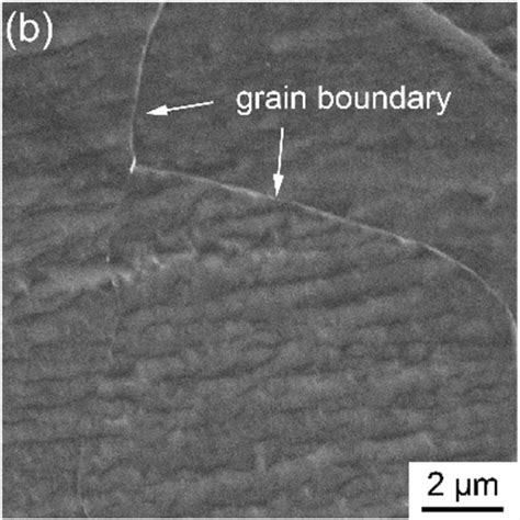 Sem Morphologies Of The Grain Boundary Microstructures In The As Welded