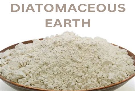 Diatomaceous Earth Powder At ₹ 100kg Diatomaceous Earth In Bengaluru