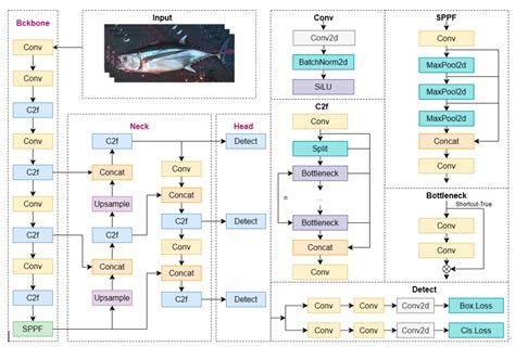 improved yolov8 pose algorithm for albacore tuna thunnus alalunga