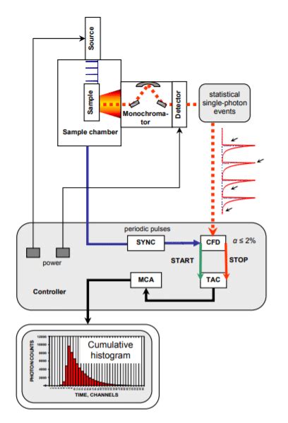 The Basic System Diagram Of Time Correlated Single Photon Counting Download Scientific Diagram