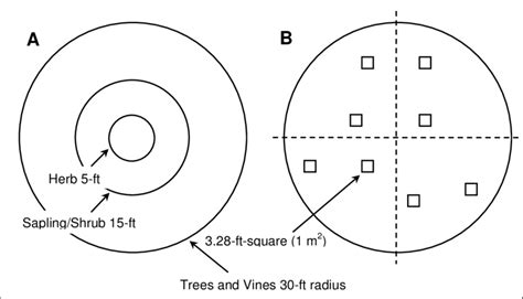 Suggested Plot Arrangements For Vegetation Sampling A Single Plots