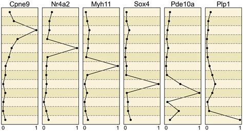Tutorial 3 Mouse Brain Dataset — Spatialcoc 01 Documentation