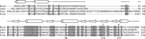 Amino Acid Sequence Alignment Of Sepf Proteins From B Subtilis