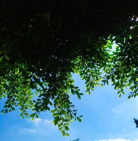 El Mes De Rayab En El Islam Alburaq