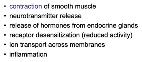 Receptor Effector Coupling Flashcards Quizlet