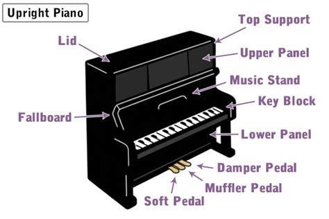 Part Names And Basic Terms Of Piano And Keyboard Sound House