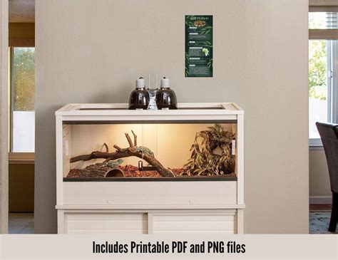 Ball Python Infographic Printable Etsy