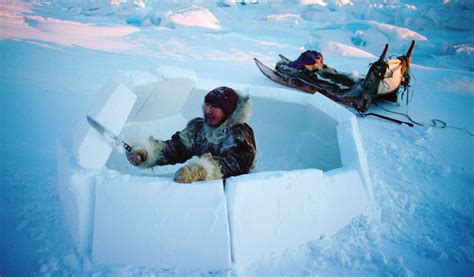 International Selection What We Can Learn From Igloos