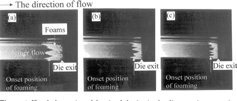 Figure 4 From Polymeric Foaming Simulation For Extrusion Processes