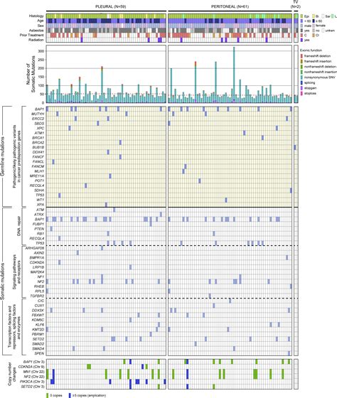 Genomic And Transcriptomic Analyses Identify A Prognostic Gene