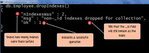MongoDB Indexing Tutorial CreateIndex Dropindex Example Li Linguas