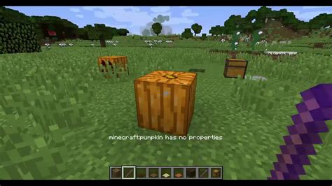 Minecraft How To GET And USE The DEBUG STICK YouTube