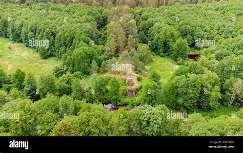 Top View Of Green Forest With Trees And River Merkys Railway Bridge